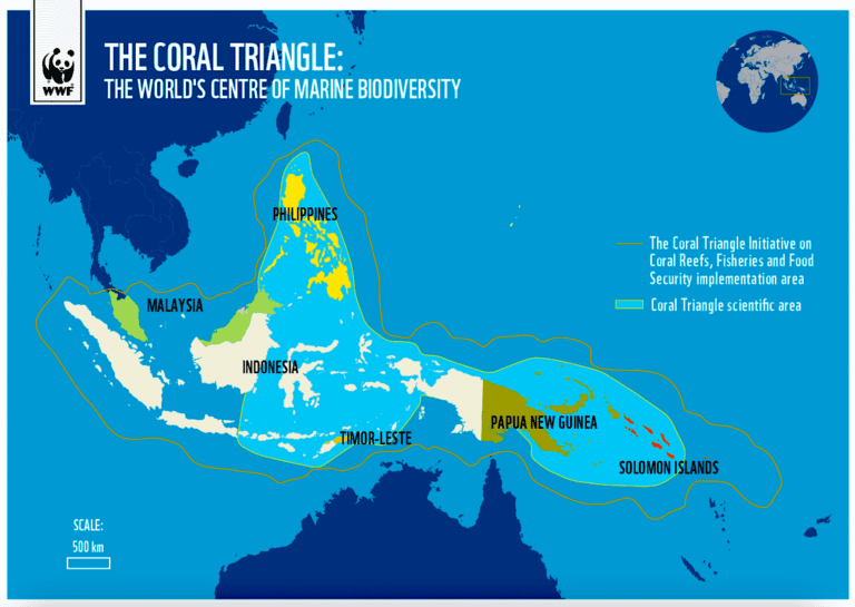 Diving Paradise - Komodo National Park & The Coral Triangle